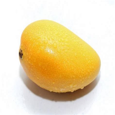 百色芒果详细介绍特点 百色特产 特色谷