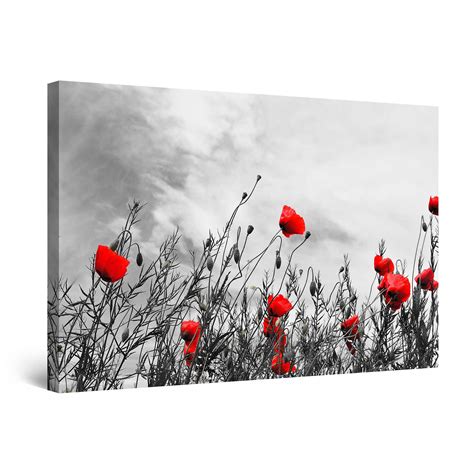 Startonight Canvas Wall Art Abstract Black And White With Red Poppies