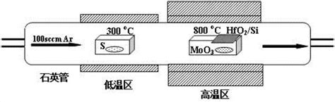 基于高k栅介质的大面积二硫化钼场效应晶体管及其制备的制作方法