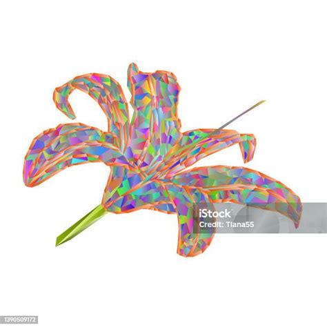 봄 꽃 릴리 Daylily 멀티 컬러 다각형 벡터 일러스트 레이 션 편집 가능한 손 그리기 0명에 대한 스톡 벡터 아트 및 기타 이미지 0명 개화기 기하 도형