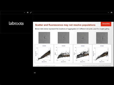 free video automated image analysis reduces user to user variability