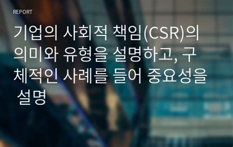 기업의 사회적 책임csr의 의미와 유형을 설명하고 구체적인 사례를 들어 중요성을 설명 레포트