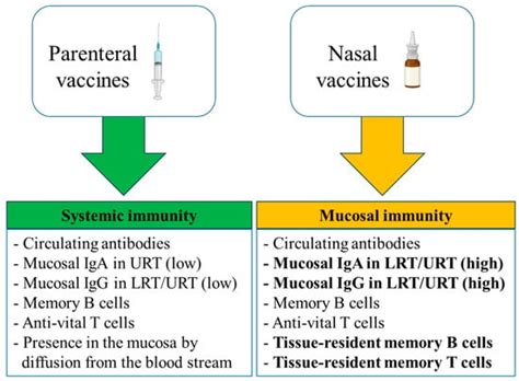 Vaccines Free Full Text Sars Cov 2 Vaccines The Advantage Of