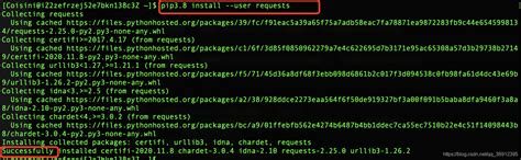 Error Could Not Install Packages Due To An Environmenterror Errno 13