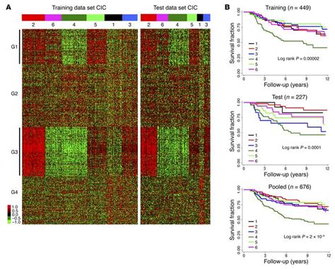 Jci β Cateninmediated Immune Evasion Pathway Frequently Operates In