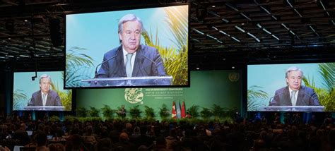 New Global Biodiversity Framework Crucial As Cop15 Commences Science