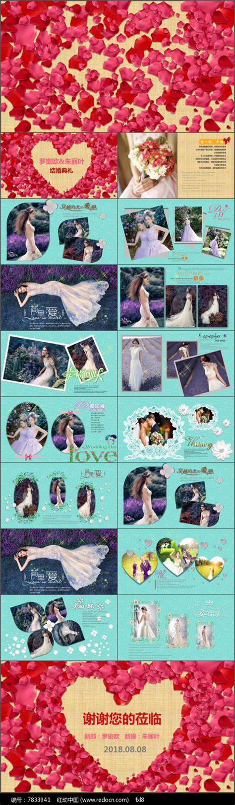 粉红玫瑰花瓣浪漫婚礼开场电子相册动态ppt模板图片ppt编号7833941红动中国