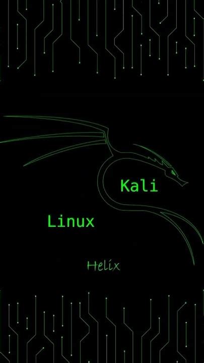 Linux Lover 👨‍💻 Hacking Linux Hack Linuxlover Coding Termux