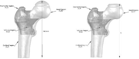 Figure 1 From A Ct Based High Order Finite Element Analysis Of The