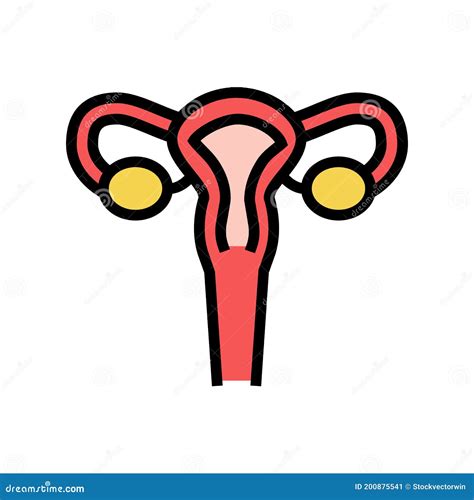 Uterus Woman Organ Color Icon Vector Illustration Stock Vector