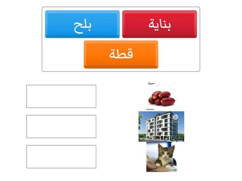 اجب عن الاسئلة Match Up