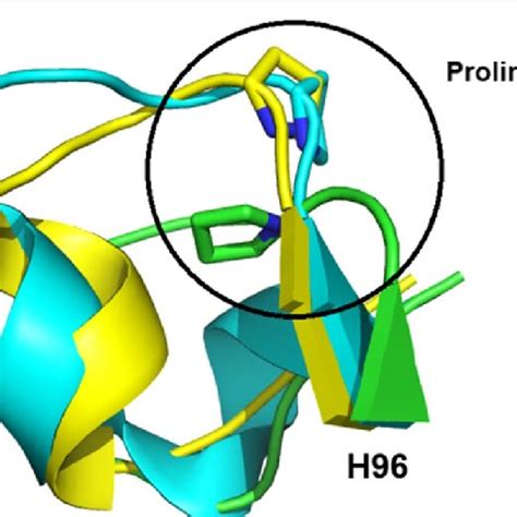 Cdr3 Loops From Three Superimposed Nbs Pdb Id 3k7u 6ey0 6qgw The