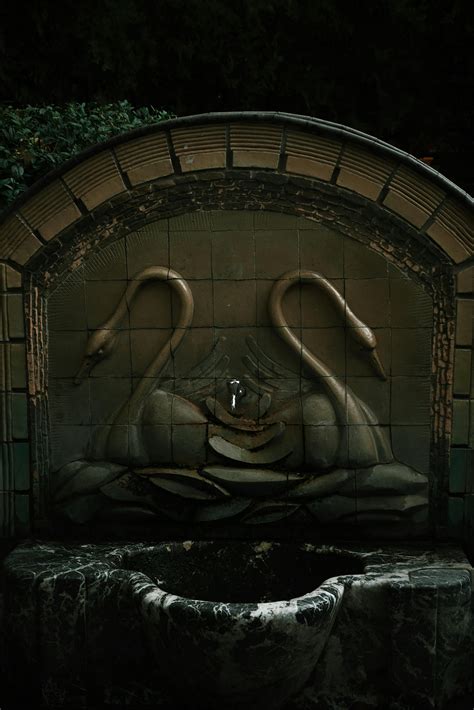 خلفياتبيسيانمي4k Photos Download The Best Free خلفياتبيسيانمي