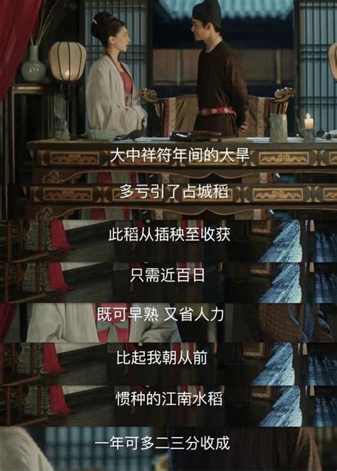 人文草木一百個故事23趙禎 曹丹姝約會占城稻 每日頭條