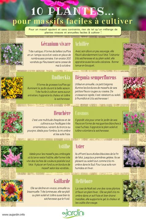 10 plantes pour massifs faciles à cultiver