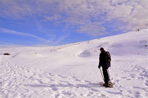 Comment Utiliser Des Raquettes De Neige
