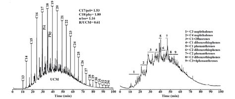 Chromatograms Of Crude Oil Hydrocarbons Analysis Download Scientific