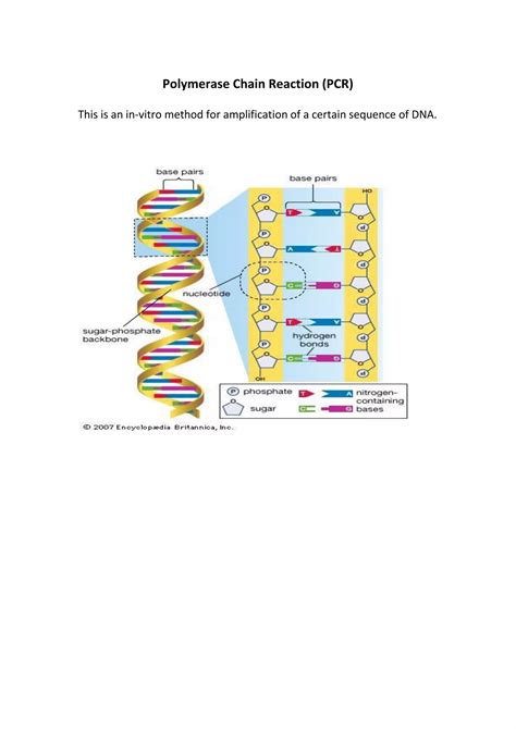 Polymerase Chain Reaction 2018 Pdf