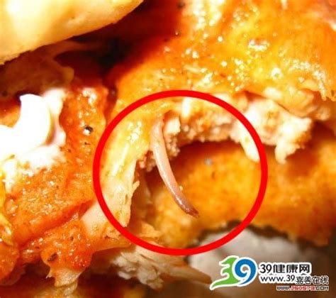 汉堡包有虫图片大全 汉堡包创意画 汉堡包套餐图片大全 第2页 大山谷图库