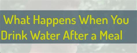 Effects Of Drinking Water After Meal Drinking Water What Happens