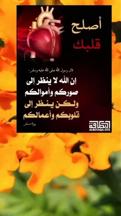 اصلح قلبك Youtube