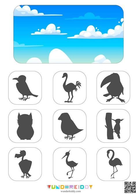 Birds Sorting Activity For Preschoolers