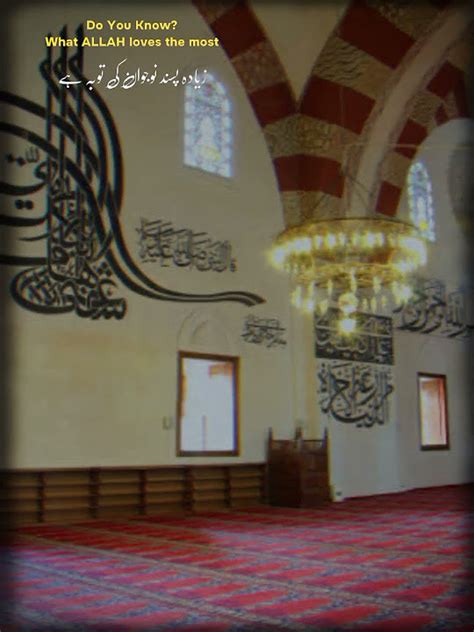 Peer Ajmal Raza Qadri Peerajmalrazaqadri Viralvideo Latest Islamicpreacher Top