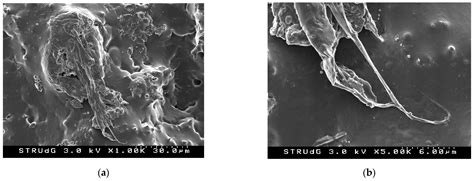 Valorization Of Kraft Lignin From Black Liquor In The Production Of Composite Materials With