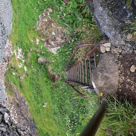 The Fossilised Tree Treshnish Holiday Cottages