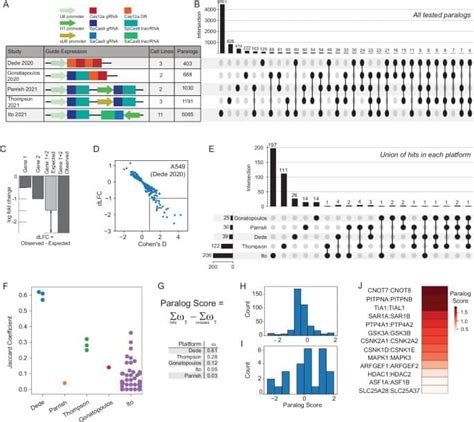 Efficient Gene Knockout And Genetic Interaction Screening Using The