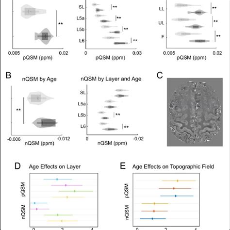Identifying Anatomically Relevant Cortical Compartments In M1 A