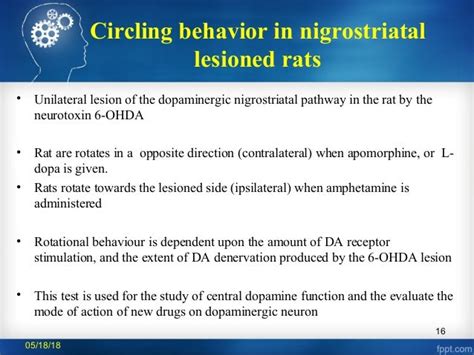 Screening Model For Parkinsons Disease