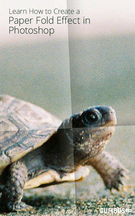 10 Advanced Photoshop Techniques Advanced Photoshop Photoshop