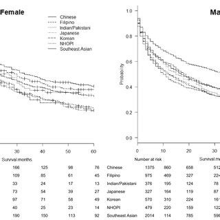 KaplanMeier Survival Curve By Ethnicity And Sex Median Survival Download Scientific Diagram