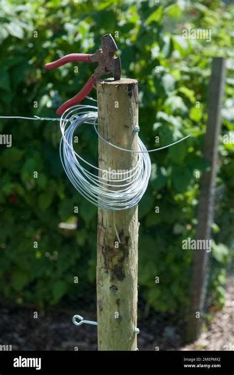 Wire Cutters And Loop Of Wire On Wooden Fence Post To Create Wire
