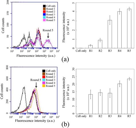 Flow Cytometric Analysis Of The Screened Ssdna Pools After Five Rounds