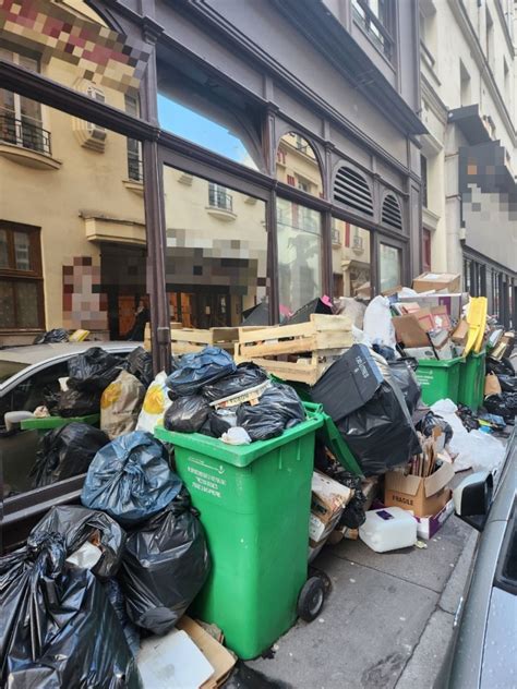 프랑스 유학 일상 쓰레기더미 일상 파업과 시위대가 남기고간 거리 속 흔적들 부제 나대는 문화의 프랑스가 부러웠던