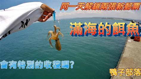 嚇到 滿海的餌魚 最近會有好釣況嗎一日解鎖2張新郵票台中港北堤鴨子部落魚皮鉤路亞鐵板銅鏡刺蔥微鐵馬加 Youtube