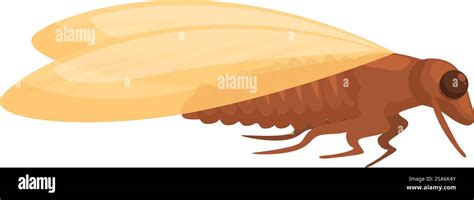 Brown Termite Insect Is Crawling On The Ground Flying Termite Insect