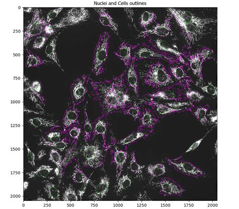 Cellprofiler319 Memoryerror During Run Of Module Measureobjectsizeshape Image Analysis