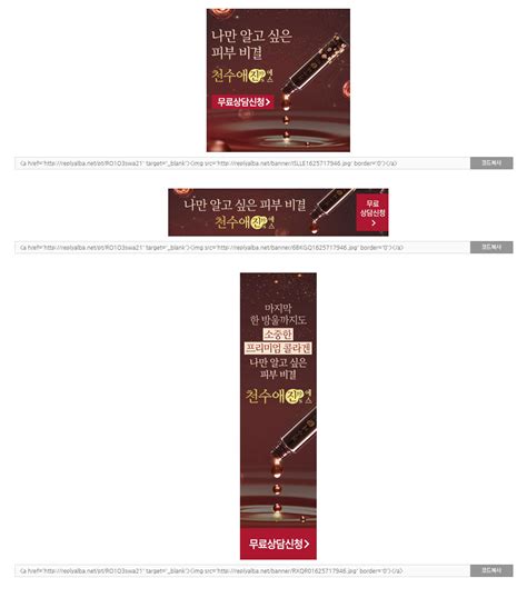 초보자 가이드