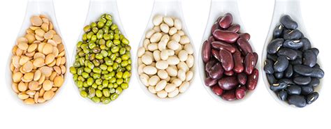 채식주의 식단에서 콩과 콩 함유 식품의 역할 네이버 블로그