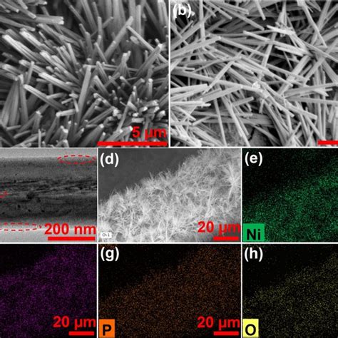 A FESEM Image Of The NMO B FESEM Image Of The NMP C TEM Image Of The