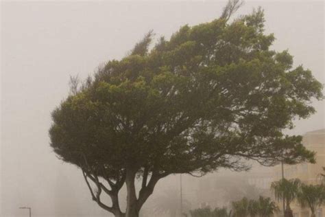 Ciclone Extratropical O Que é O Fenômeno Que Causa Chuvas E Ventania