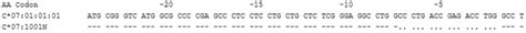 alignment of the sequence of exon 1 of hla‐c 07 1001n with the sequence