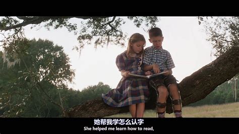 《阿甘正传》中的珍妮 频频离开阿甘 是什么原因？飞鸟