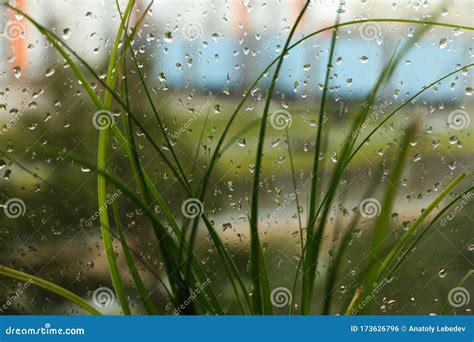 Window Exterior Stormy Stock Illustrations 8 Window Exterior Stormy