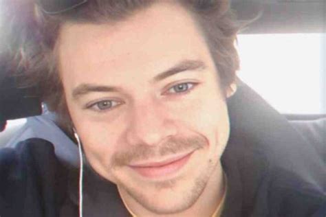 Harry Styles Lanza Nueva Línea De Cosméticos Pleasing
