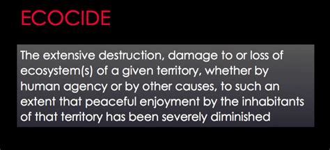 Polly Higgins Ecocide The 5th Crime Against Peace Transcript