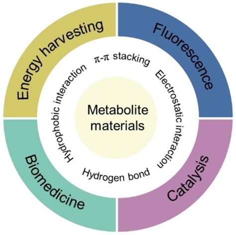 Minimalistic Metabolite‐based Building Blocks For Supramolecular Functional Materials Wang